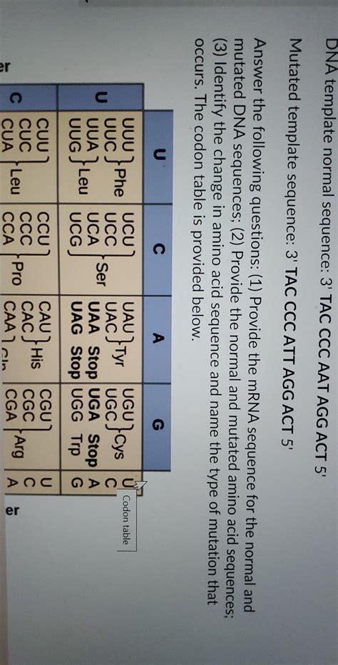 Solved Dna Template Normal Sequence 3 Tac Ccc Aat Agg Act