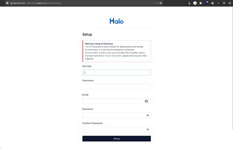 告别复杂配置！使用 1panel 运行环境功能轻松搭建 Java 应用 凌霞软件