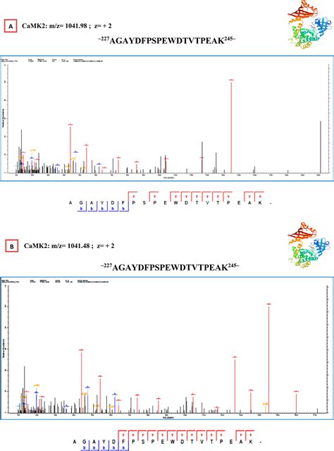 Shotgun Proteomic Based Approach With A Q Exactive Hybrid Quadrupole Orbitrap High Resolution