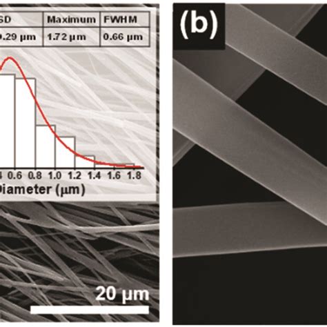 Sem Micrographs With Diameter Distribution Inset Of Self Assembled