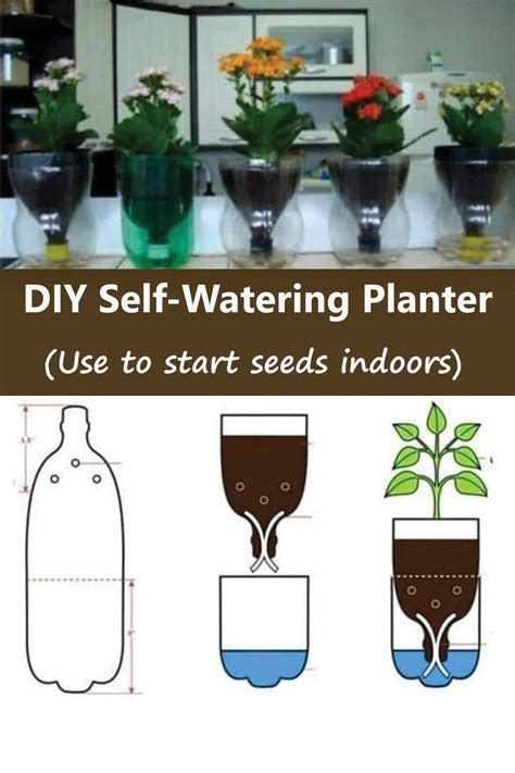 automatic tree watering system