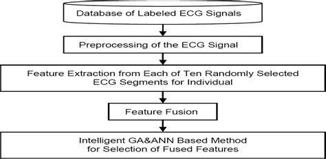Electrocardiogram Based Identification Using A New Effective Journal Of Medical Signals