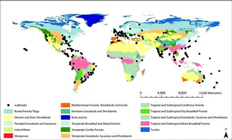 Global Distribution Of Human Leptospirosis Outbreaks Reported In The Download Scientific