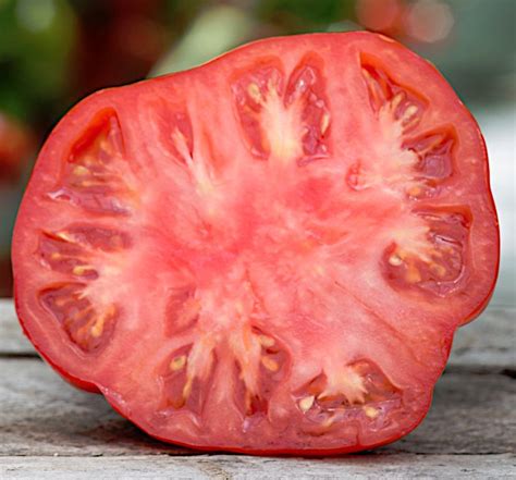 Heirloom Beefsteak Tomato Italian Giant Solanum Lycopersicum 30 Seeds