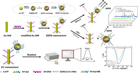 Sersec Dual Mode Sensing System For The Assay Of Sars Cov 2 Rna By Using Single Gold Nanowires