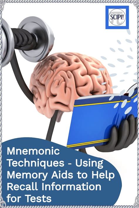Mnemonic Peg System Artofit