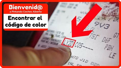 Descubre cómo conocer el color de un auto con el número de chasis Guía