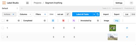 Getting Started Using Segment Anything Label Studio