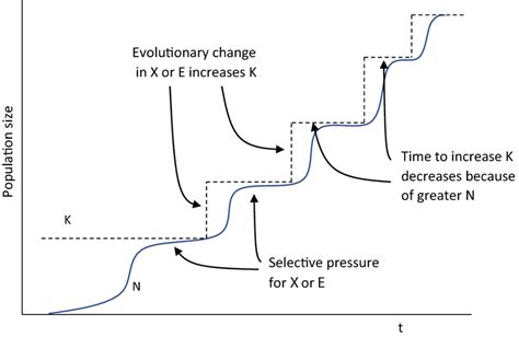 Rate Of Change Of K Decreases As Population Size Increases Due To Download Scientific Diagram