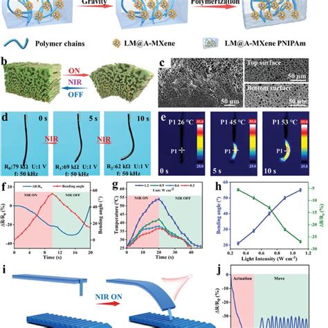 Highly Stretchable And Conductive Mxene‐encapsulated Liquid Metal