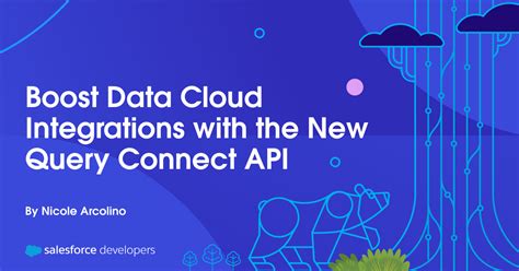 Boost Data Cloud Integrations With The New Query Connect Api Salesforce Developers Blog