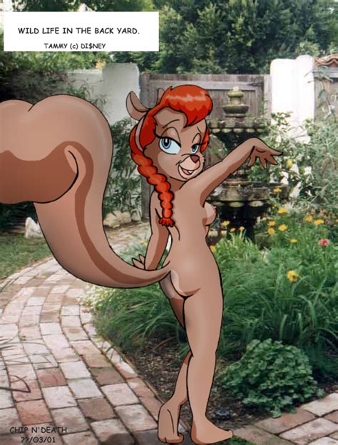 Rule 34 Character Name Chip N Dale Rescue Rangers Chip Ndeath