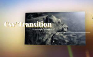 Mouse Over Parallax Or D Tilt Effect Css Transition