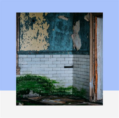 Defect Analysis Westville Associates Richmond And Cobham London