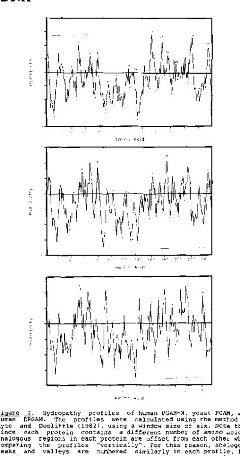 Figure 7 From Isolation Of A Cdna Encoding The Muscle Specific Subunit Of Human Phosphoglycerate