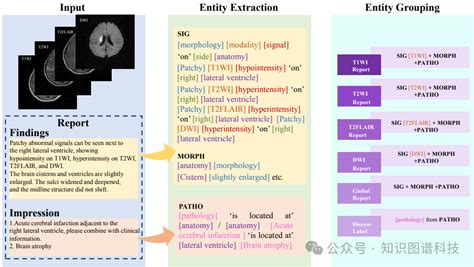 医疗多模态基础大模型在临床诊疗中的应用、挑战与未来方向 清华大学大模型在医疗领域中的应用论文 Csdn博客