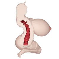 DD Dolls Figure Sex Dolls Best Male Sex Toy E Hentai Lo Fi Galleries