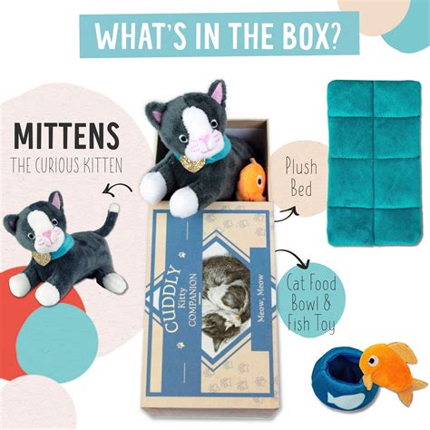 Mittens The Cat