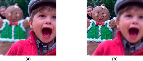 Figure 2 From Multi Focus Image Fusion Based On Multi Scale Generative Adversarial Network