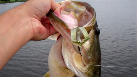 Topwater Blowups Series 3 Ribbit Frog Bass Fishing Youtube