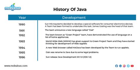 What Is The Importance Of Java Programming Language In 2024 Mobulous
