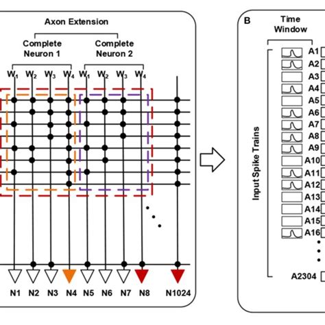 Spatial Mapping For Spiking Neural Networks Snns With Download Scientific Diagram