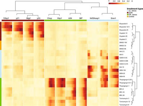 Cubic Hierarchical Clustering Of The Time Courses Of The Reporter Panel