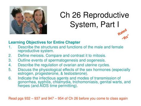 PPT Ch Reproductive System Part I PowerPoint Presentation Free Download ID