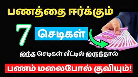 💰 பணத்தை ஈர்க்கும் 7 செடிகள் 🤑 Vastu Plants Tamil Gardening Tips Tamil Youtube