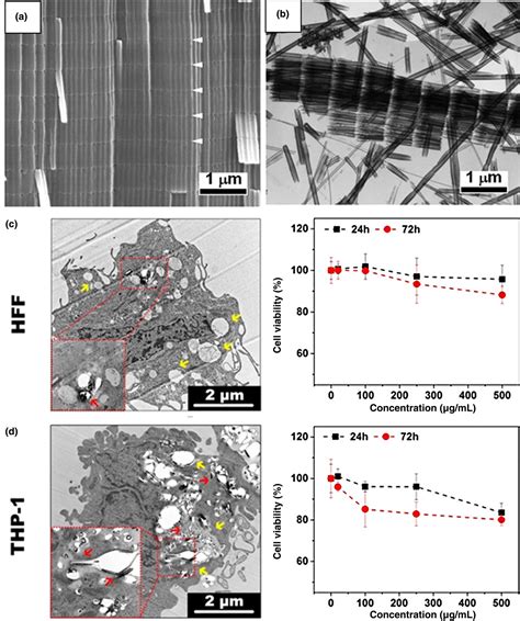 Anodically Grown Functional Oxide Nanotubes And Applications Mrs Communications Cambridge Core