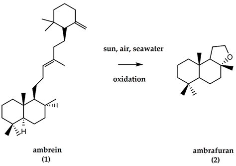 Ambrafuran Ambroxtm Synthesis From Natural Plant Product Precursors