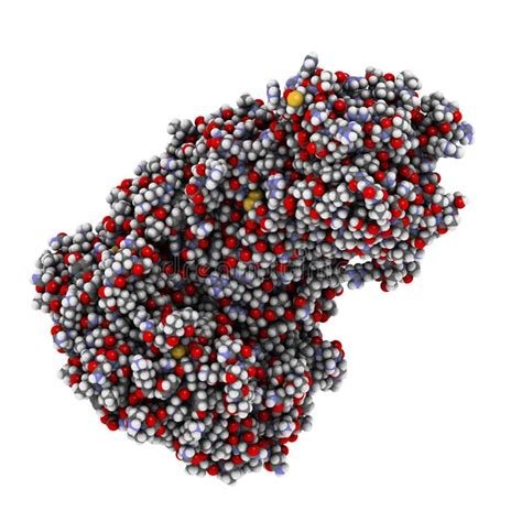 Typhoid Symptoms Stock Illustrations 73 Typhoid Symptoms Stock Illustrations Vectors