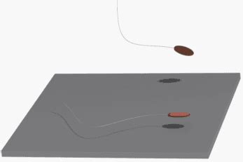 Microfluidics For Sperm Analysis And Selection UFluidix