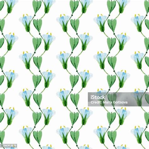 씨앗과 허브의 싹과 수채화 원활한 패턴 카셀라 부르사파스토리스 약용 초원 꽃 야생 치유 허브 흰색 배경에 식물 꽃 질감 직물 랩 웹용 0명에 대한 스톡 벡터 아트 및 기타