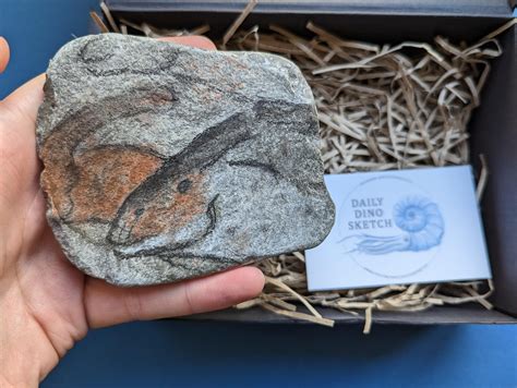 More Dinosaur Cave Art Rdinosaurs