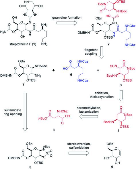 Retrosynthetic Analysis Of Streptothricin F 1 Download Scientific