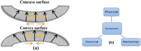 A Surface Classification 11 And B Composition Of Component Download