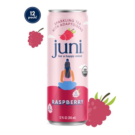 Shop All Flavors Of Juni Sparkling Teas Drink Juni