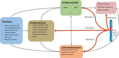 Exploring The Genetic Factors Of Bipolar Disorder Ask The Nurse Expert