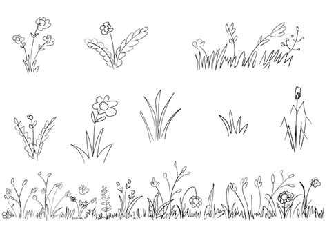 Premium Vector Handdrawn Simple Vector Drawing In Black Outline Wild