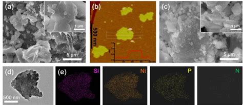 A SEM Images Of Serpentine B AFM Image Of Serpentine Insert Is Download Scientific