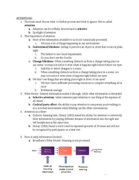 Chapter 5 Lecture Notes Textbook Summaries She Goes Based Off Of