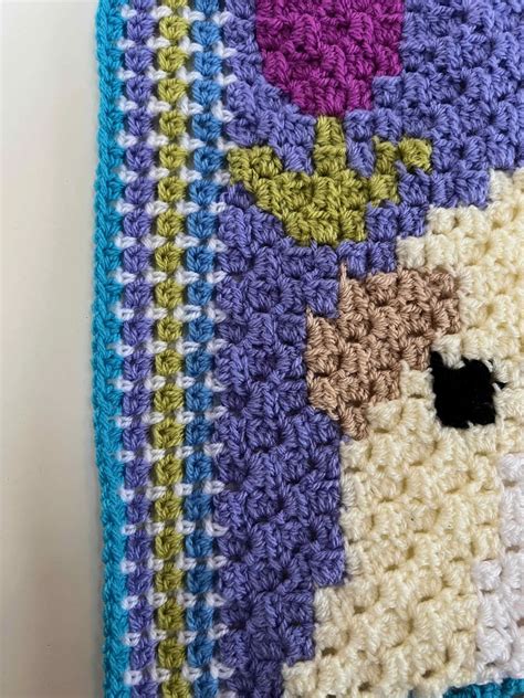 How To Crochet A Border On A C2c Blanket Off The Hook For You