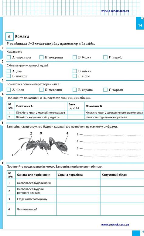 ПОМОГИТЕ ПОЖАЛУЙСТА