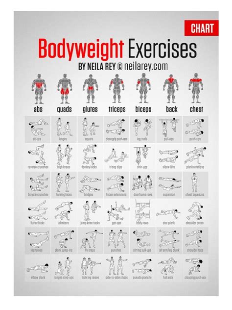 Muscle Chart Pdf