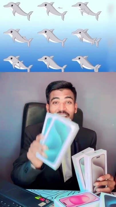 how many dolphins techtest iphonecontest automobile techchallenge