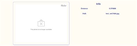 Fastdup A Powerful Tool To Manage Clean Curate Visual Data At Scale On Your Cpu For Free