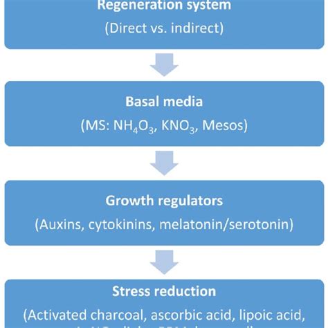Overview Of Sequence And Rationale For Experiments Download Scientific Diagram