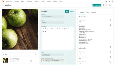 Format Datetime Picker Sitecore Documentation
