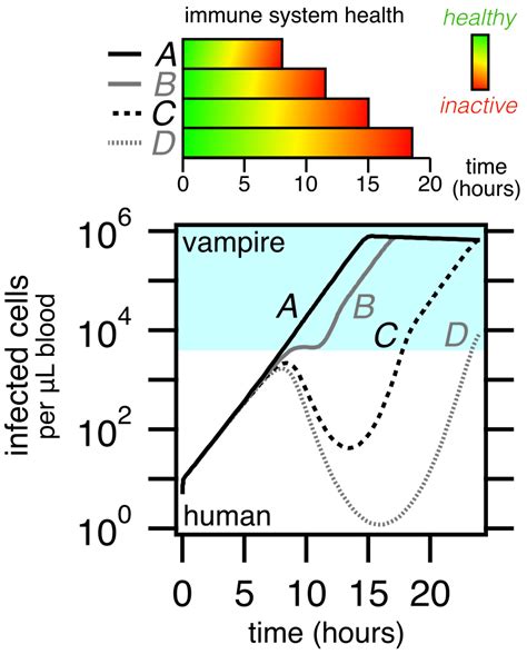 Simulation Results For Populations Of Infected Cells As A Humans Download Scientific Diagram